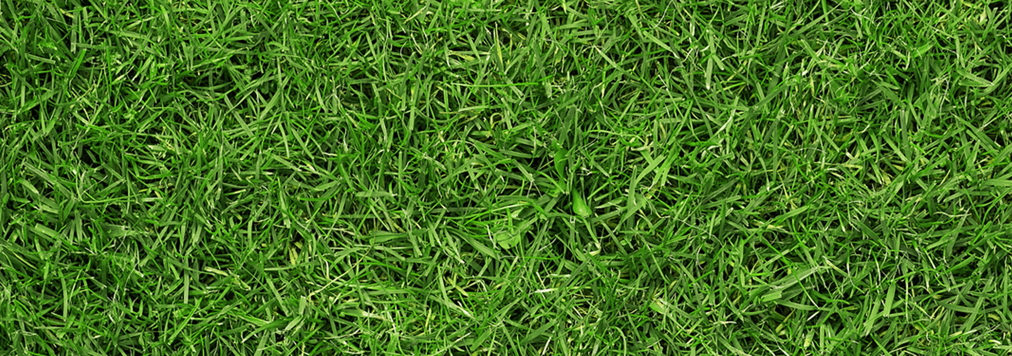 Index of /assets/images